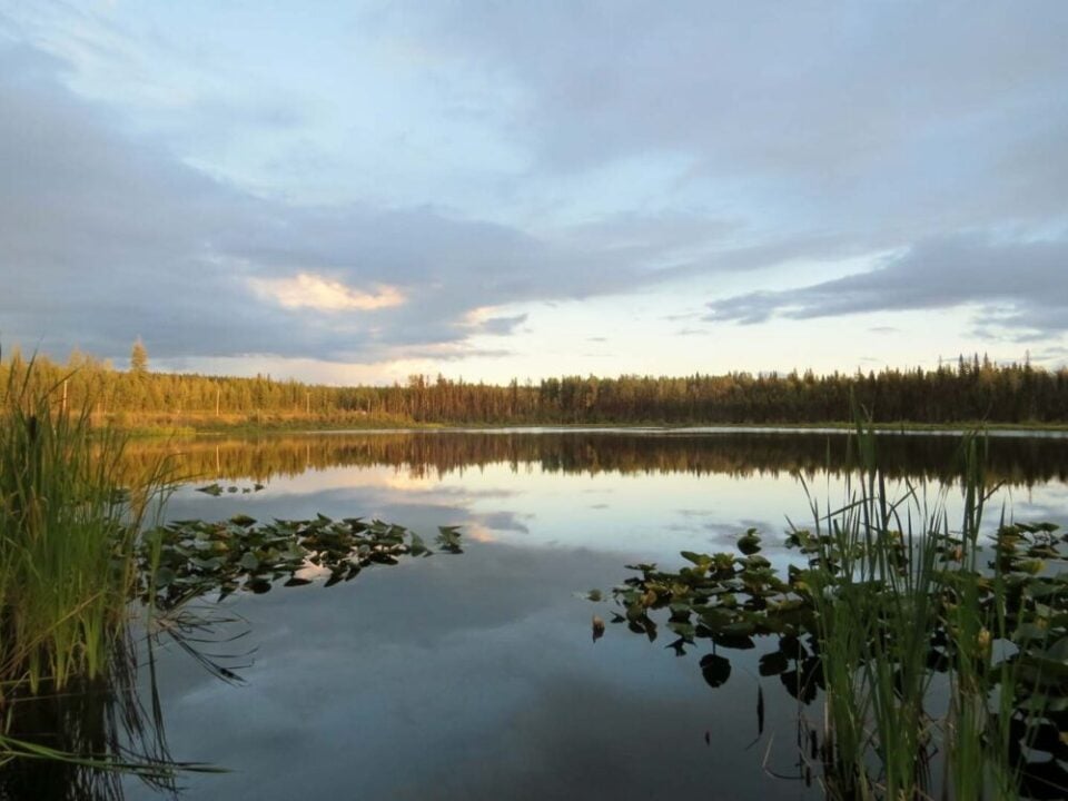 The Complete Guide to Finding Free Camping in Canada | Off Track Travel