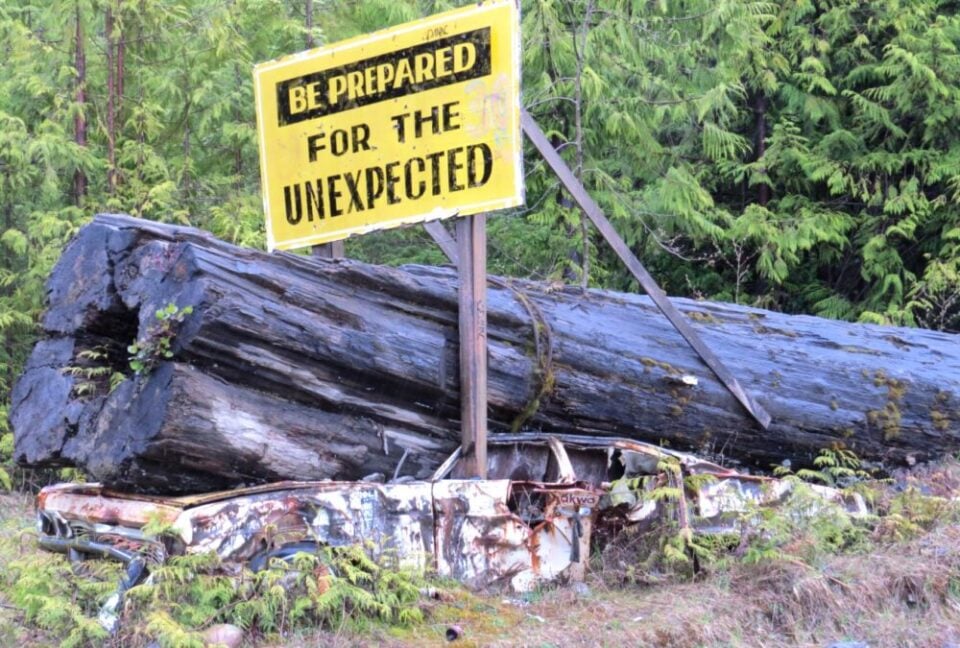 San Josef Bay, Vancouver Island: Hiking and Camping Guide | Off Track ...