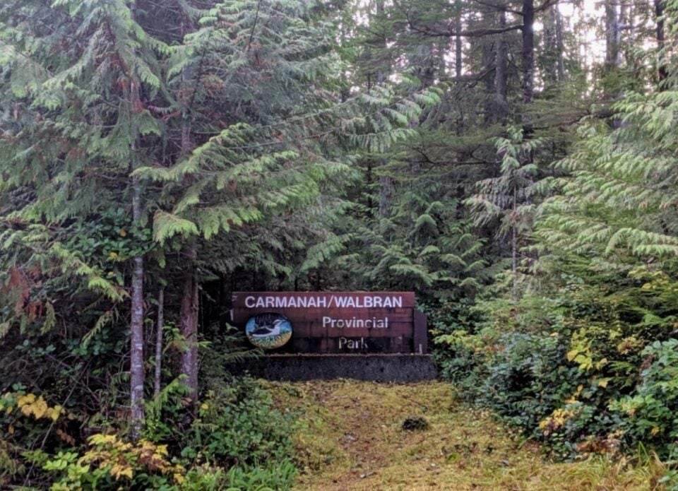 A Complete Guide to Carmanah Walbran Provincial Park, Vancouver Island
