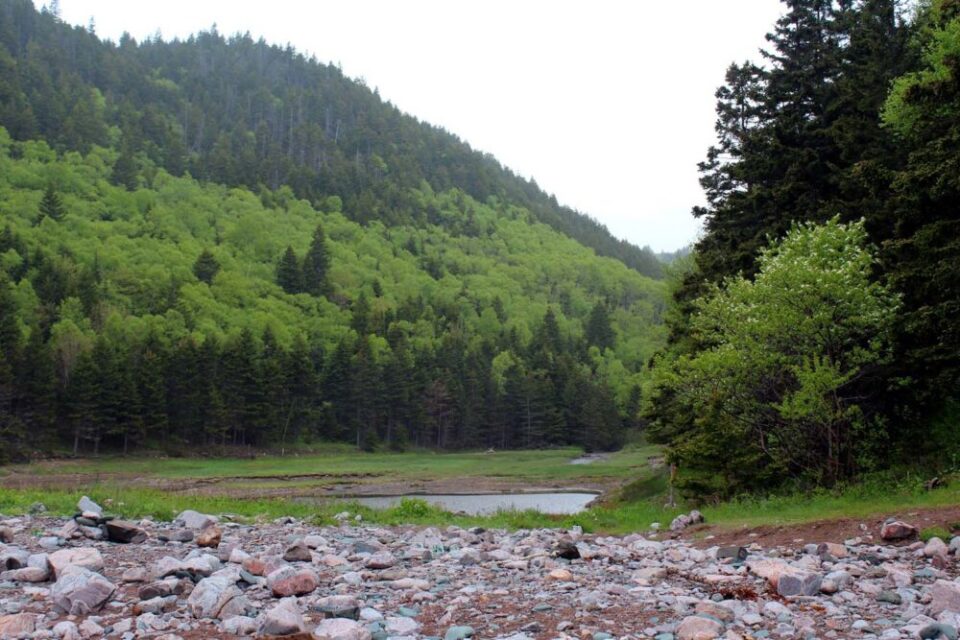 The Cape Chignecto Coastal Trail, Nova Scotia: Complete Hiking Guide