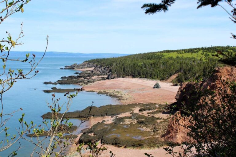 The Cape Chignecto Coastal Trail, Nova Scotia: Complete Hiking Guide