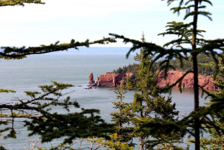 The Cape Chignecto Coastal Trail, Nova Scotia: Complete Hiking Guide