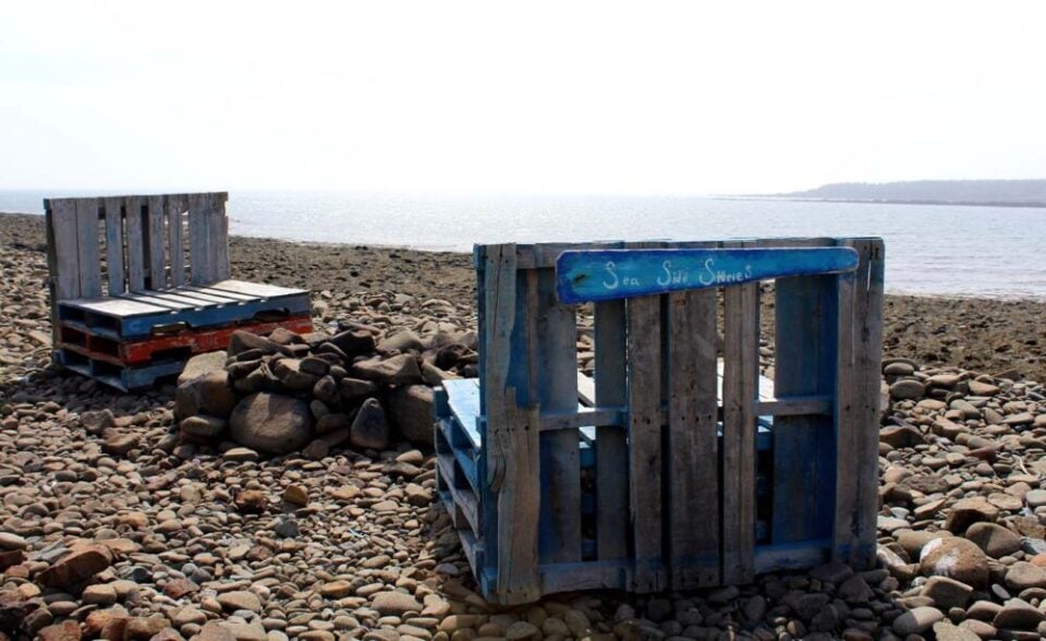Brier Island, Nova Scotia's Hidden Gem: Things to Do, Where to Stay, Map
