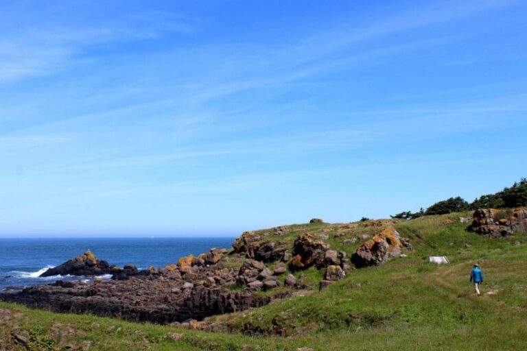 Brier Island, Nova Scotia's Hidden Gem: Things to Do, Where to Stay, Map