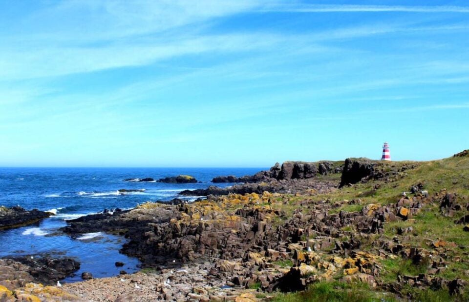 Brier Island, Nova Scotia's Hidden Gem: Things to Do, Where to Stay, Map