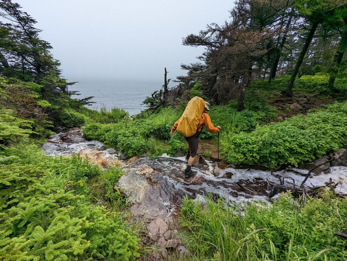 The Cape Chignecto Coastal Trail, Nova Scotia: Complete Hiking Guide