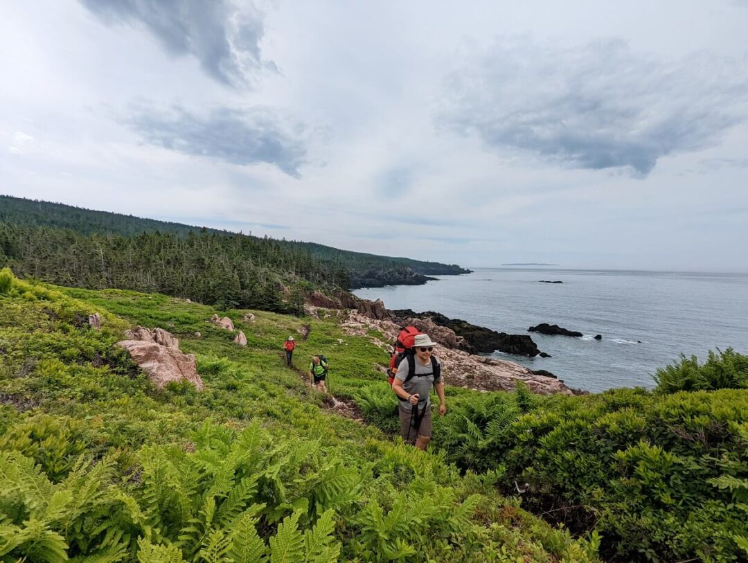 The Cape Chignecto Coastal Trail, Nova Scotia: Complete Hiking Guide
