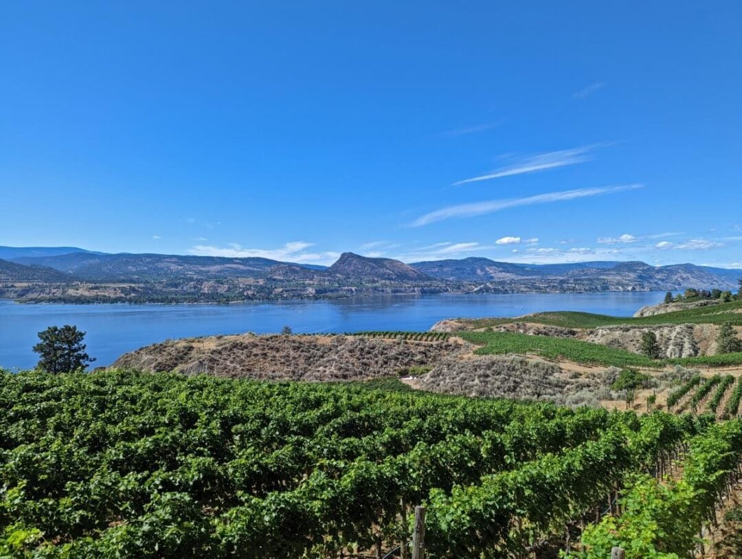 A Walking Wine Tour of the Naramata Bench, British Columbia