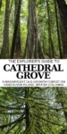 Ultimate Guide to Cathedral Grove, BC, Vancouver Island