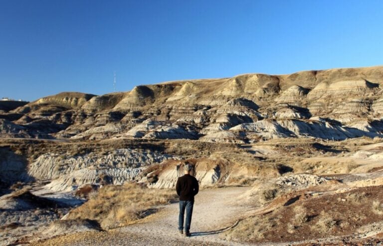 15+ Fun Things to Do in Calgary and Beyond For Adults