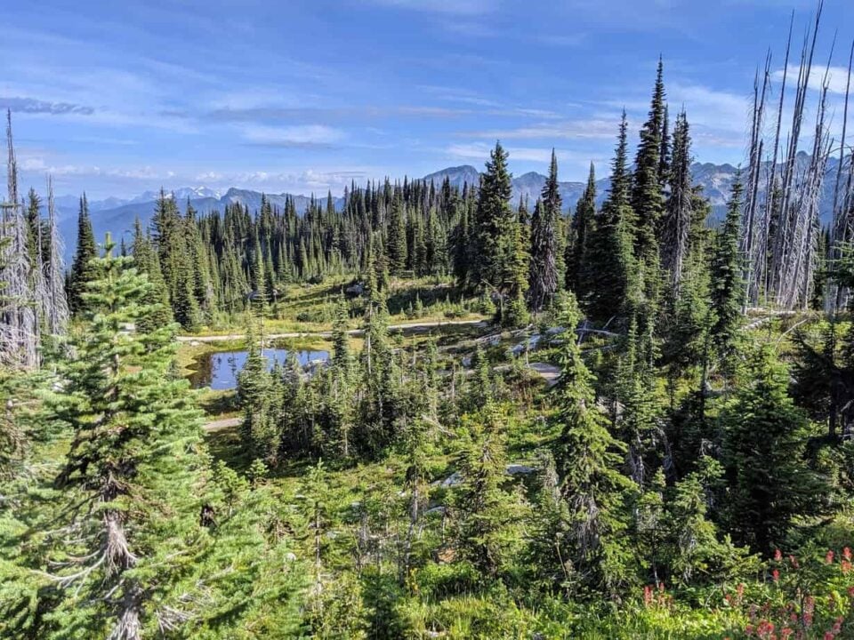 17+ Amazing Things to Do in Revelstoke, British Columbia | Off Track Travel