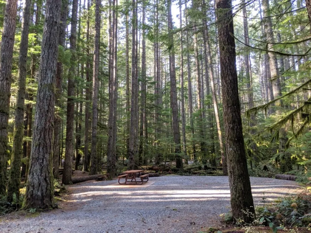 2025 BC Parks Camping Reservations Guide | Off Track Travel