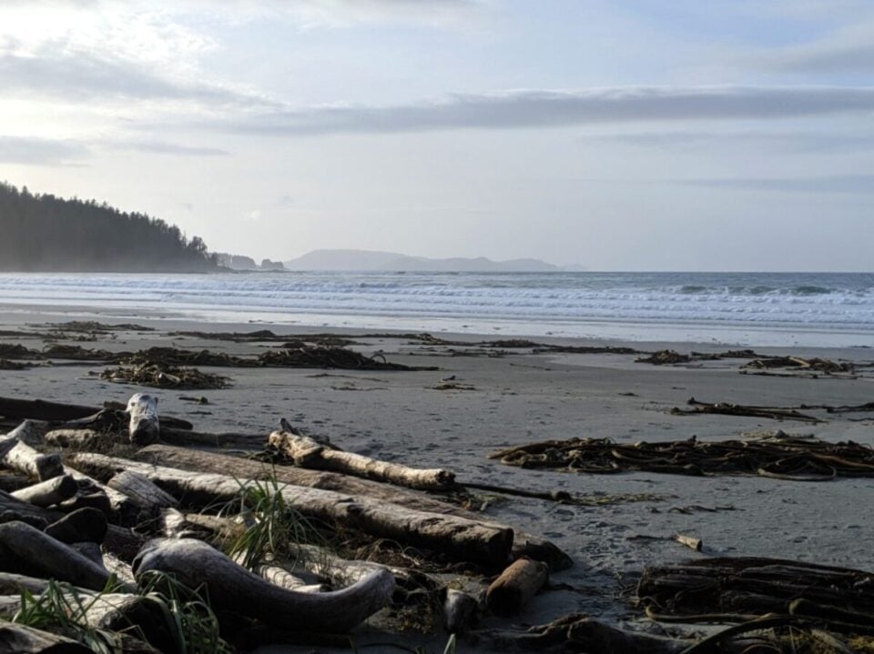 7 of the Best Beaches in British Columbia, Canada