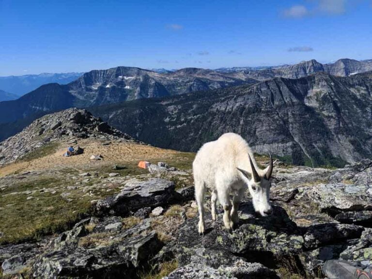 A Complete Adventure Guide to Valhalla Provincial Park