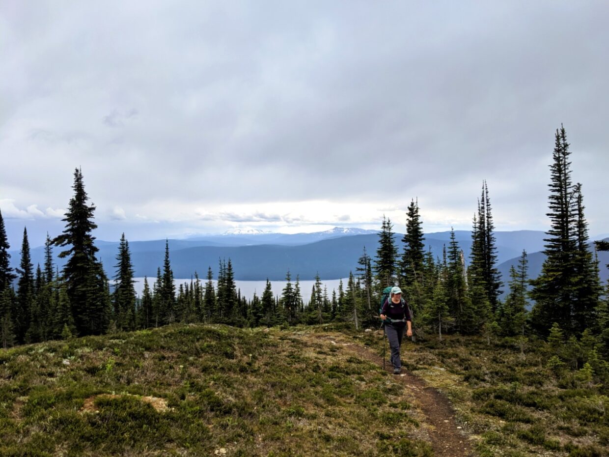 Murtle Lake, Wells Gray Provincial Park: Complete Paddling Guide | Off ...