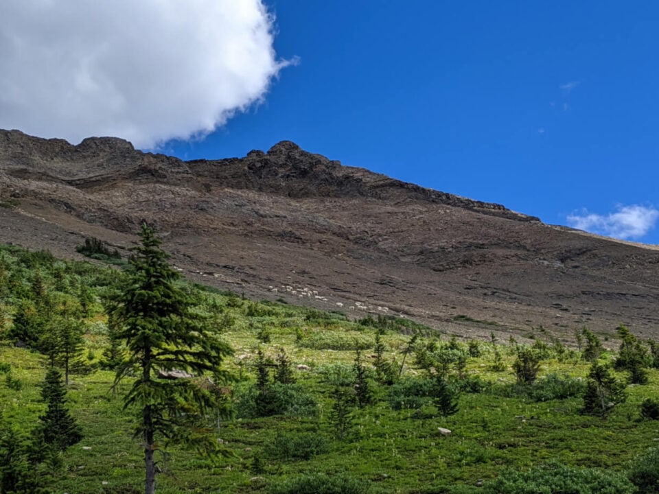 Burgess Shale Walcott Quarry Hike, Yoho National Park
