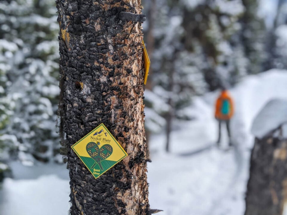 Snowshoeing 101: A Beginner's Guide | Off Track Travel