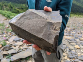 Burgess Shale Walcott Quarry Hike, Yoho National Park