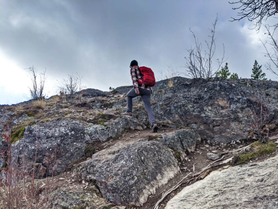 Pincushion Mountain Trail, Peachland: Complete Hiking Guide | Off Track ...