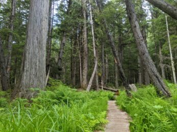Spectrum Lake Trail: Complete Hiking Guide | Off Track Travel