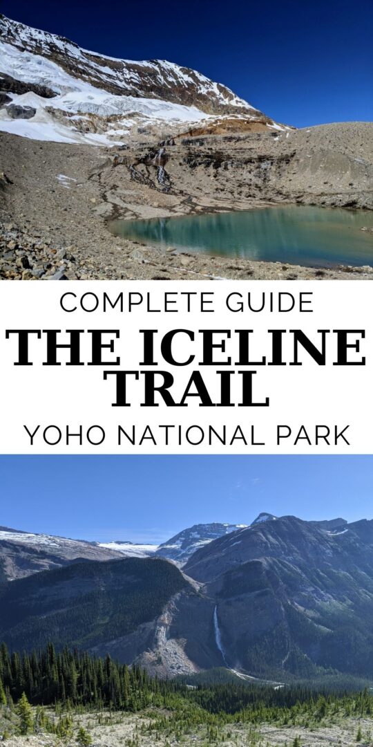 Hiking the Iceline Trail, Yoho National Park: Complete Guide