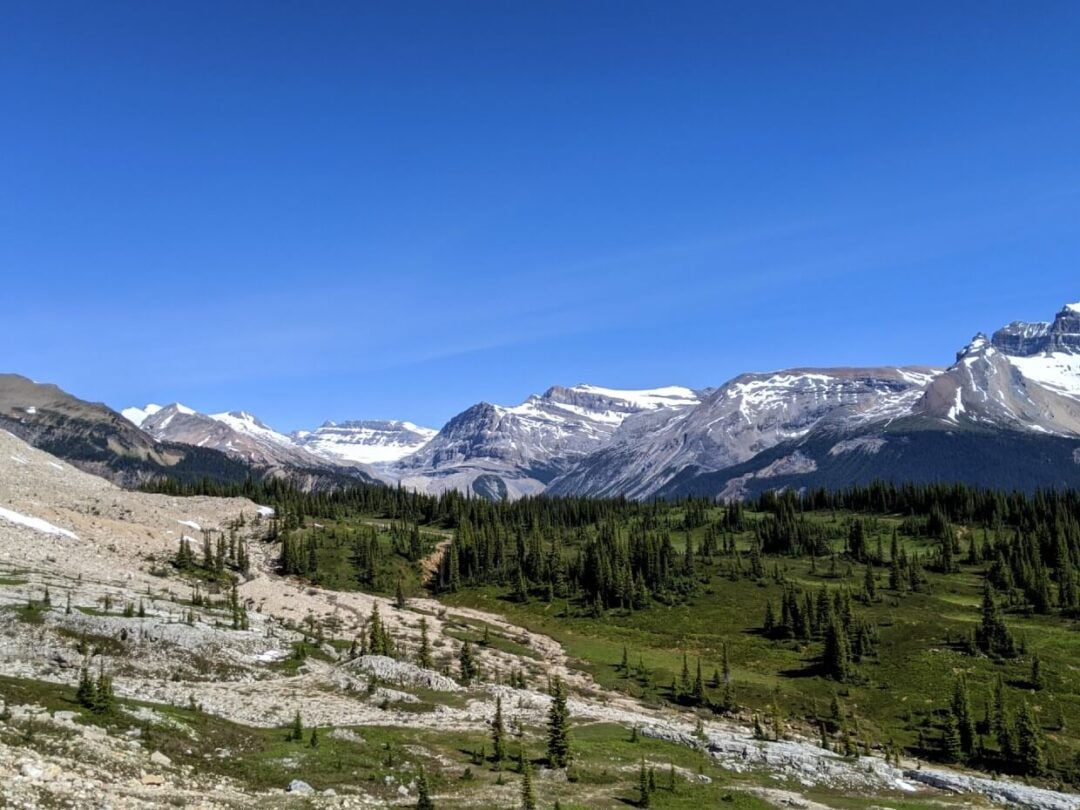 Hiking the Iceline Trail, Yoho National Park: Complete Guide