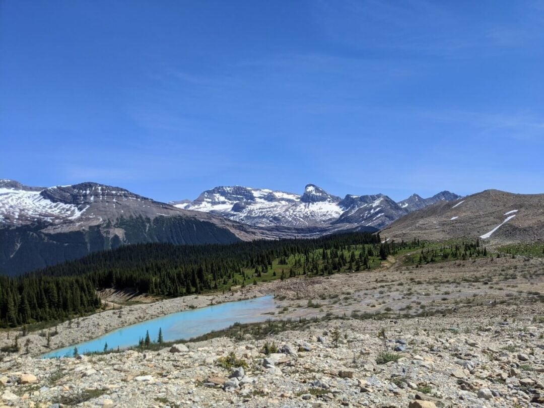 Iceline Trail, Yoho National Park: Complete Hiking Guide