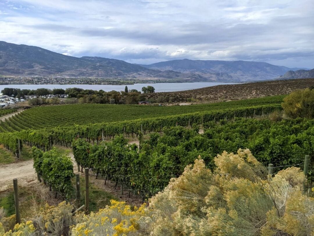 What To Do in Osoyoos in Fall: A Complete Guide | Off Track Travel