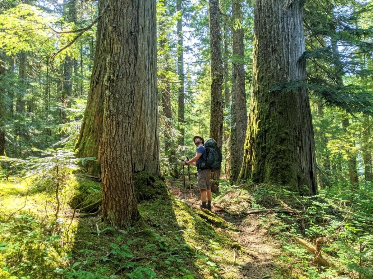 The HBC Heritage Trail (1849): Complete Hiking Guide | Off Track Travel