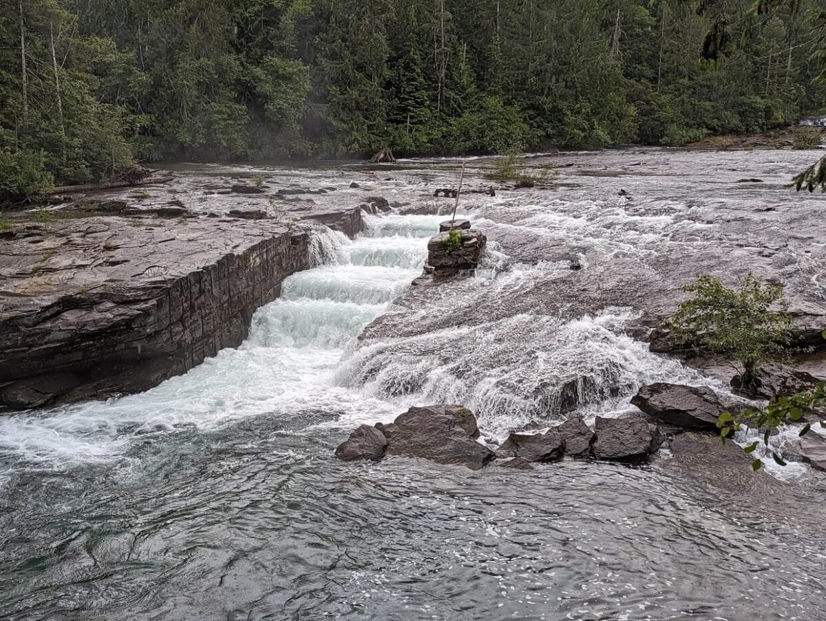 23+ of the Best Things to Do in Courtenay, Vancouver Island | Off Track ...