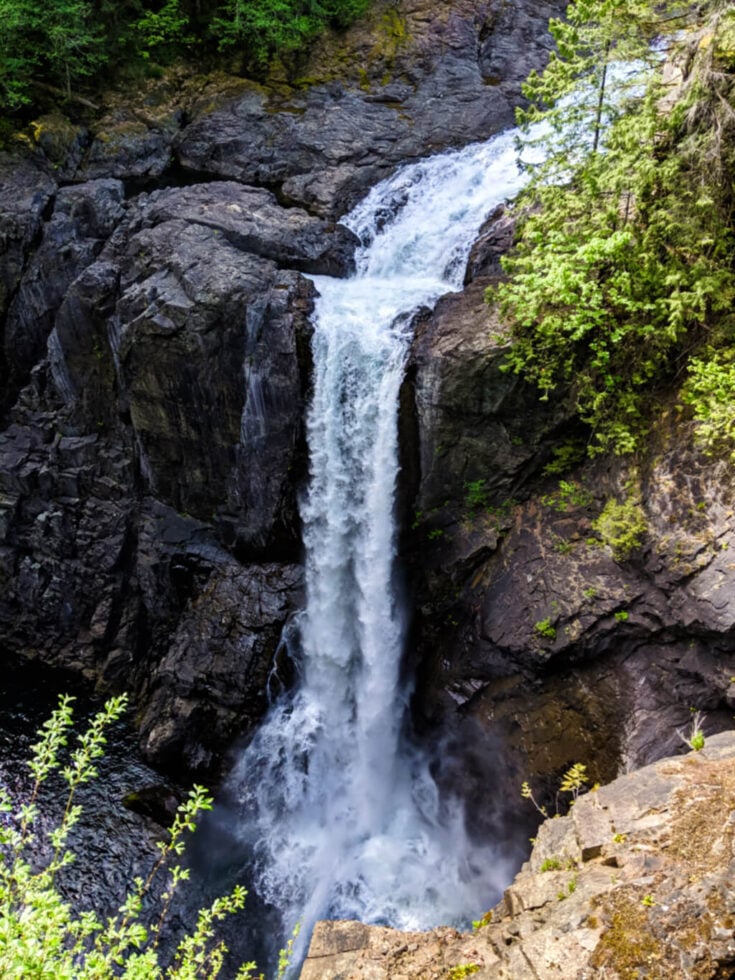 27+ of the Best Things to Do in Campbell River, Vancouver Island | Off ...