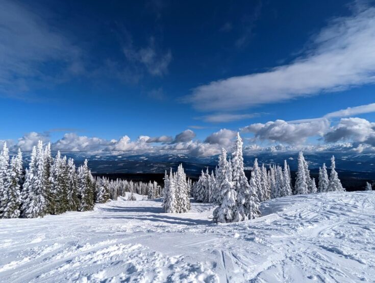 What To Do in Vernon in Winter: A Complete Guide | Off Track Travel