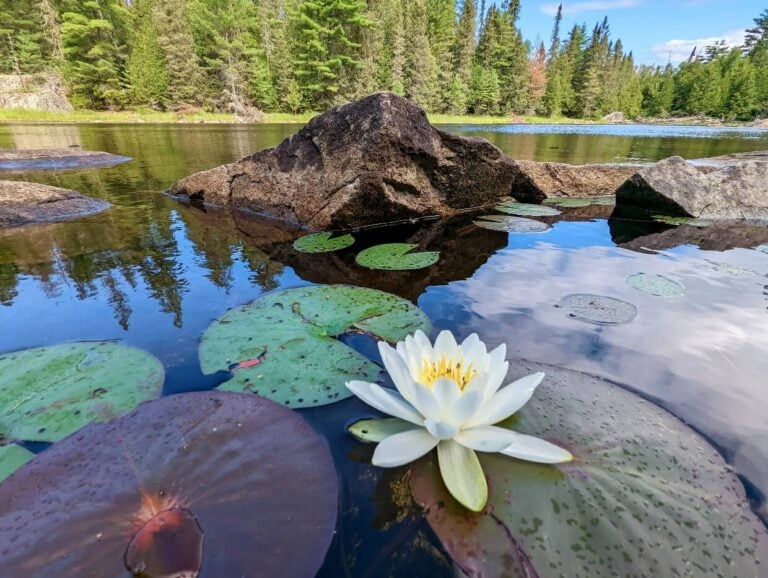 Quetico Provincial Park, Ontario: Complete Canoe Paddling Guide | Off ...
