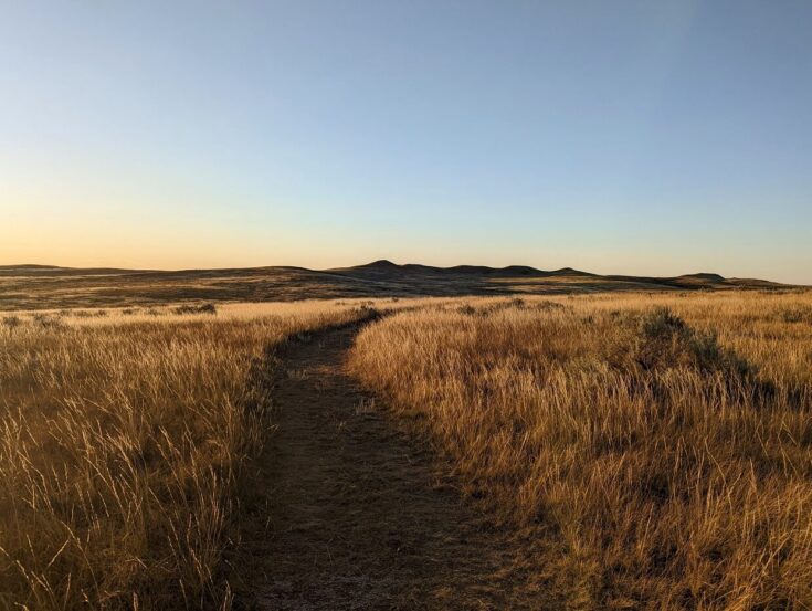 Grasslands National Park, Saskatchewan: What to Do & Why You Need to Go