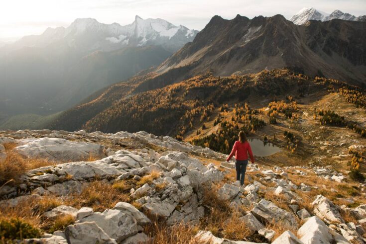 Where to Find Golden Larches in British Columbia, Canada