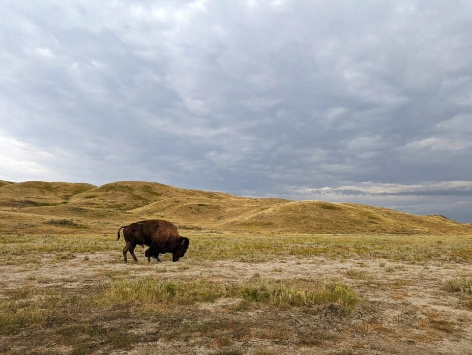 13+ Unique Places to Go in Saskatchewan, From Sand Dunes to Dinosaur Digs