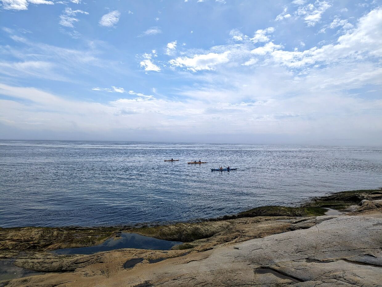 Four Fun Ways to Go Whale Watching in Tadoussac, Quebec