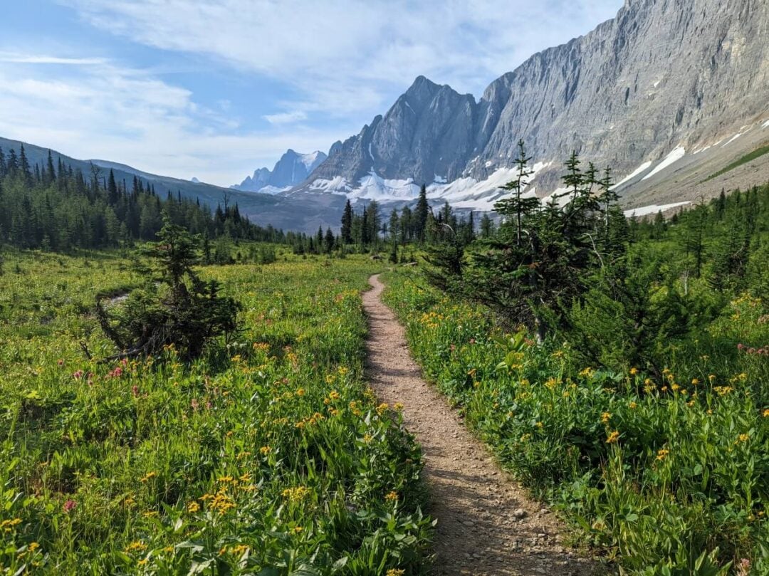 The Rockwall Trail: Complete 2025 Hiking Guide | Off Track Travel