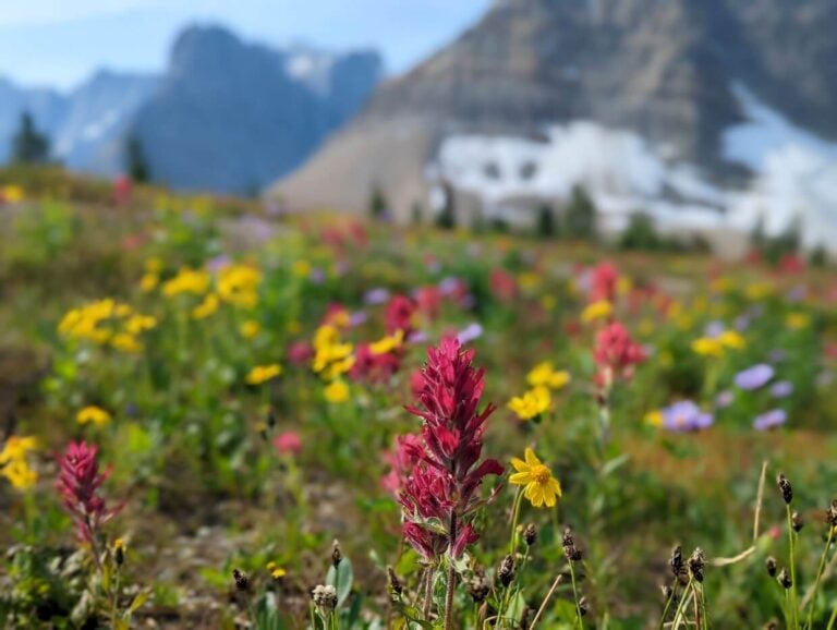 The Rockwall Trail: Complete 2025 Hiking Guide | Off Track Travel