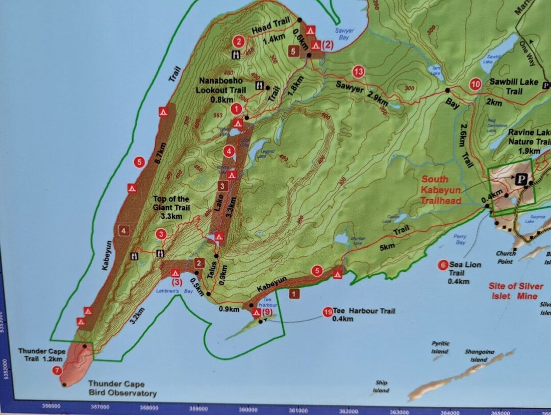 Top of the Giant Hike, Ontario: Complete Trail Guide