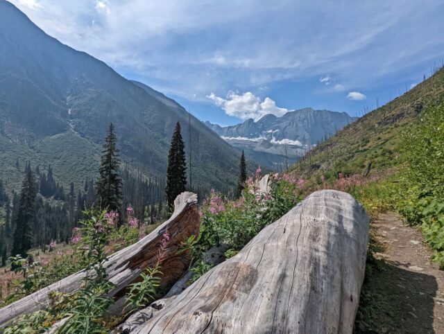 The Floe Lake Trail: Complete 2025 Hiking Guide | Off Track Travel