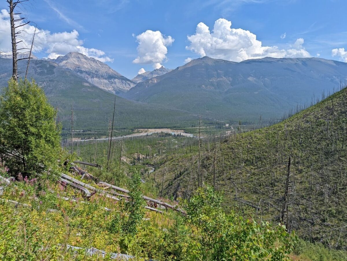 The Floe Lake Trail: Complete 2026 Hiking Guide | Off Track Travel