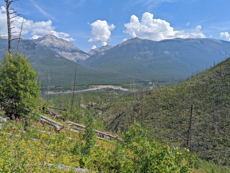 The Floe Lake Trail: Complete 2026 Hiking Guide | Off Track Travel
