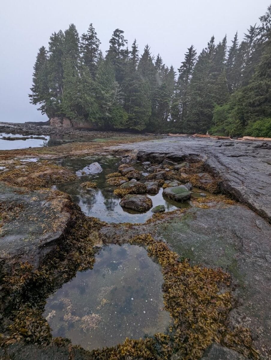 7 of the Best Beaches in British Columbia, Canada