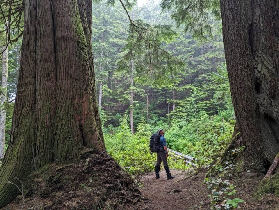 Juan de Fuca Trail: Complete 2025 Hiking Guide | Off Track Travel
