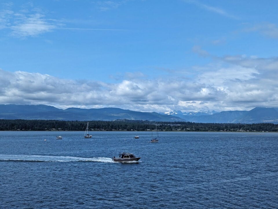 23+ of the Best Things to Do in Courtenay, Vancouver Island | Off Track ...