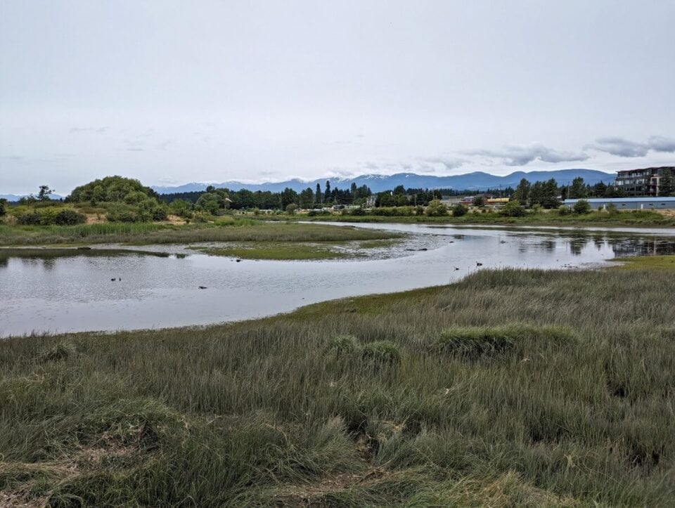 23+ of the Best Things to Do in Courtenay, Vancouver Island | Off Track ...