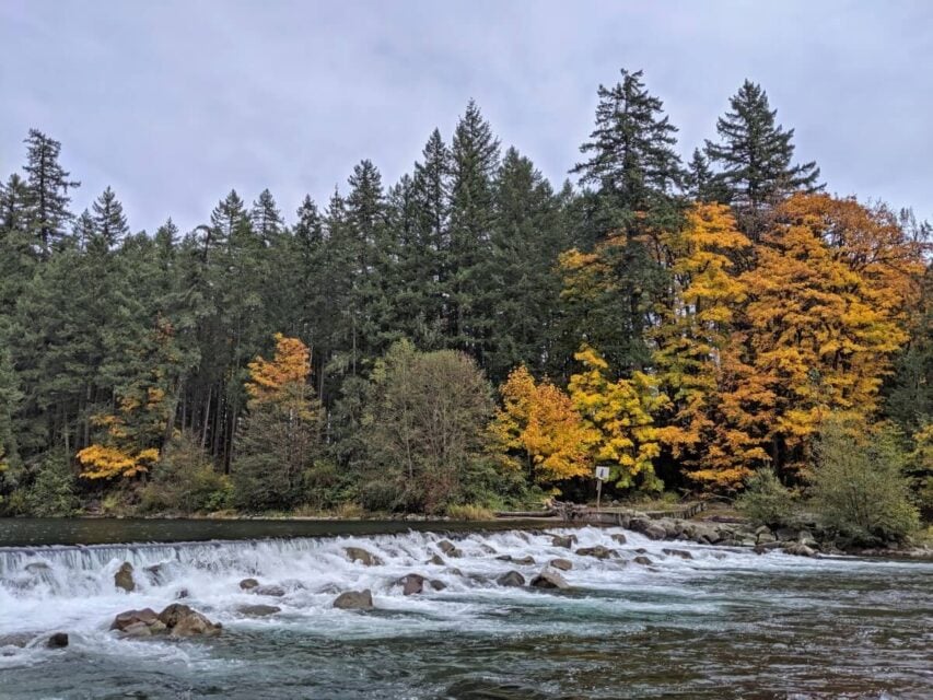 Where to See the Salmon Run in British Columbia: Complete Guide | Off ...