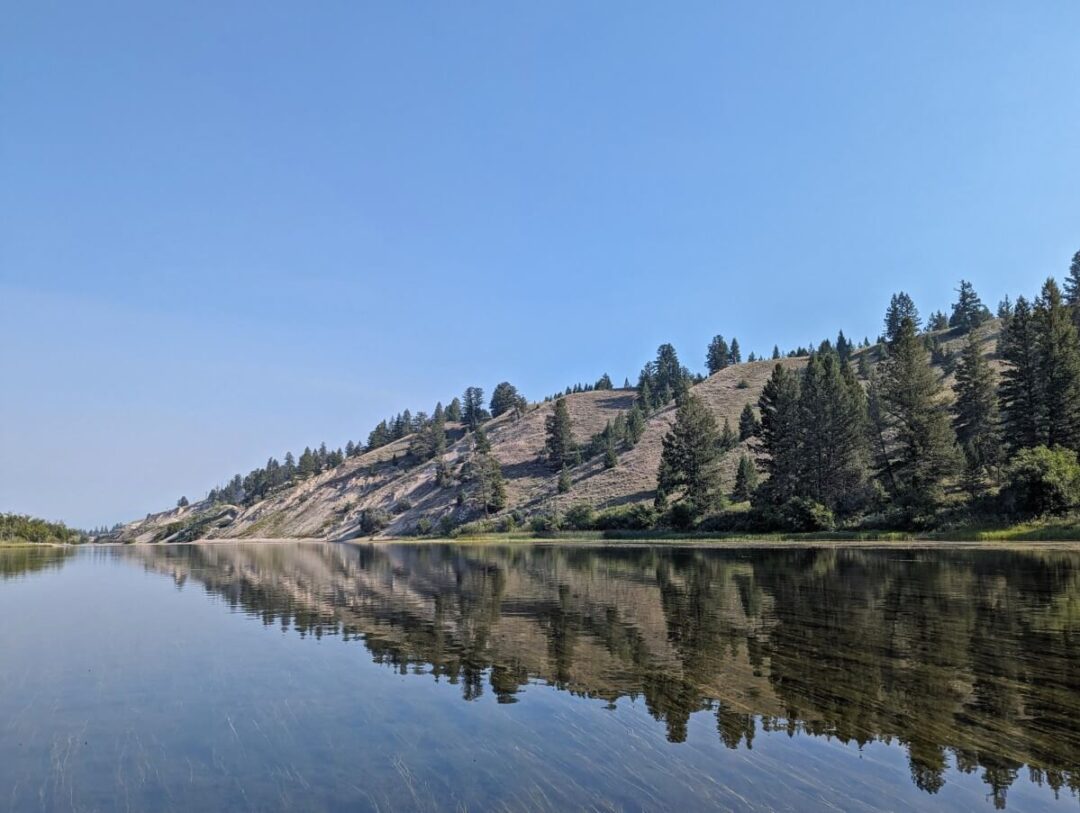 Invermere to Radium Float: A Relaxing Half Day River Paddle Adventure
