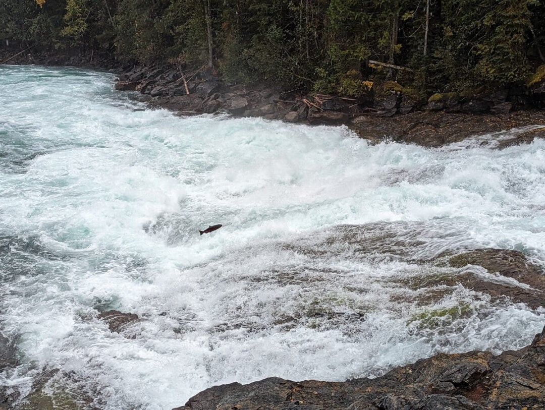12 of the Best Wells Gray Waterfalls: Trip Planning Guide + Map | Off ...